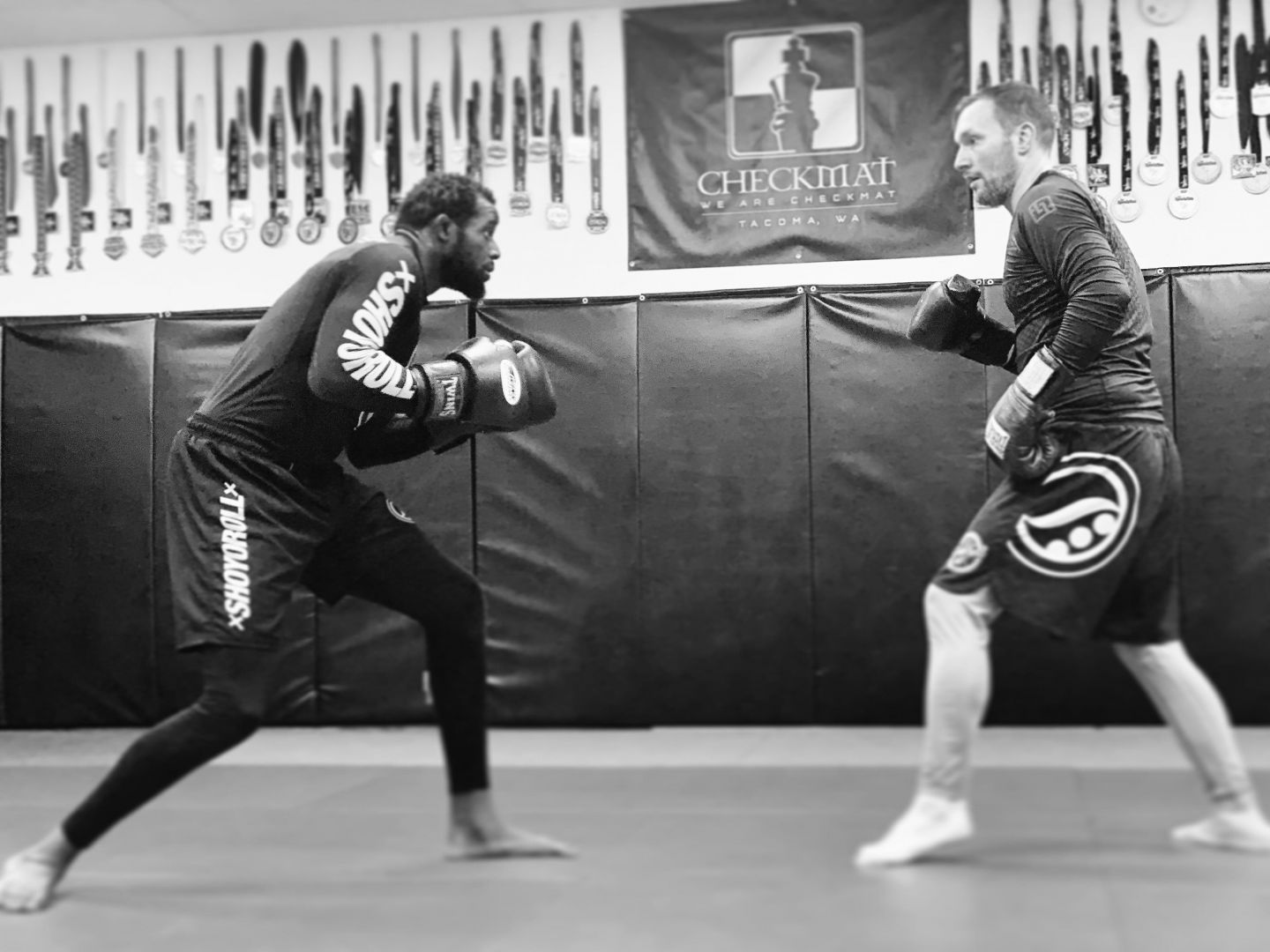 Gallery - Welcome to Checkmat Tacoma