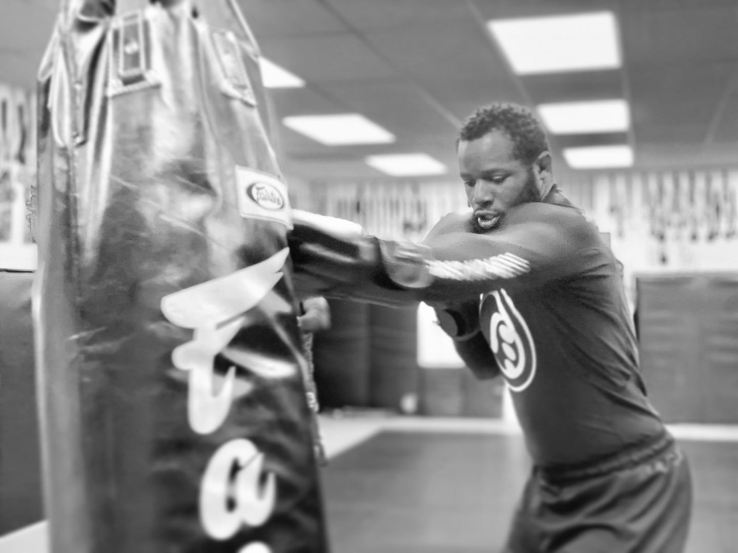 Gallery - Welcome to Checkmat Tacoma